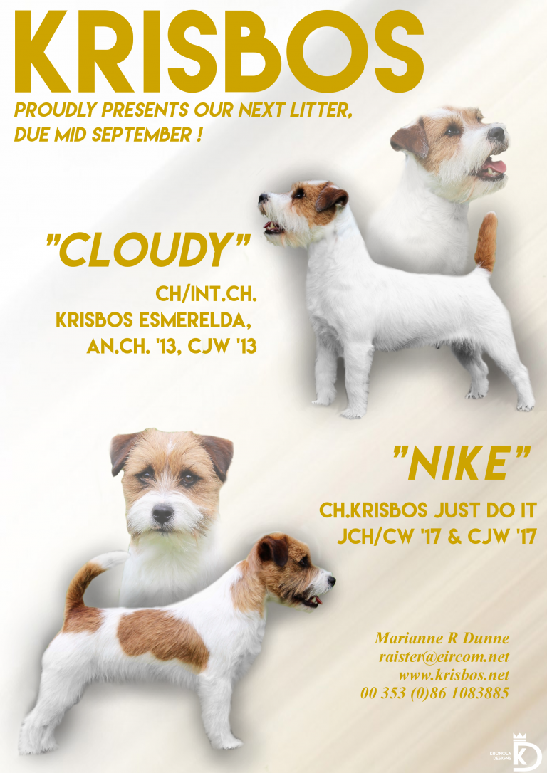 Puppy plans – Krisbos